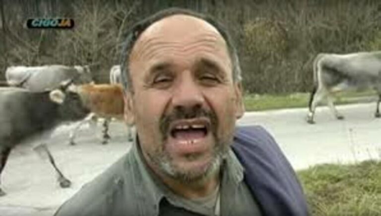 OVAKO DANAS IZGLEDA ZMAJ OD ŠIPOVA: Svi gledaju u ovu sliku i ne mogu da dođu sebi, PA ŠTA MU BI ...