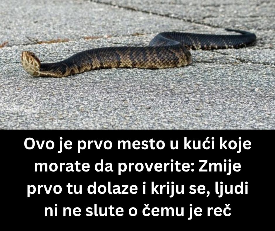 Ovo je prvo mesto u kući koje morate da proverite: Zmije prvo tu dolaze ...