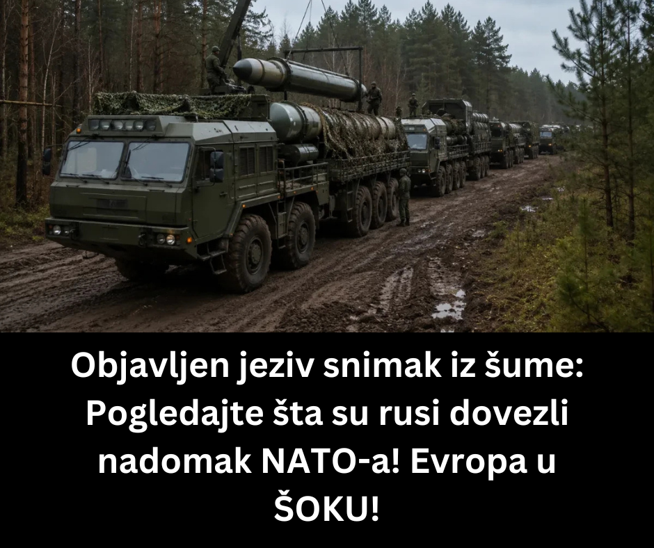 Objavljen jeziv snimak iz šume: Pogledajte šta su rusi dovezli nadomak ...